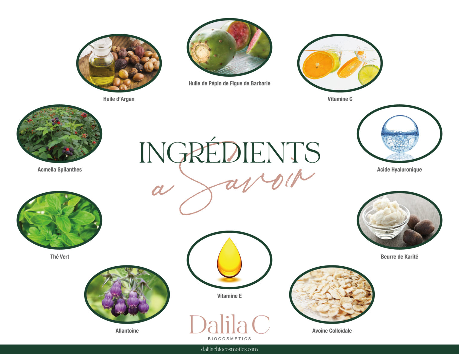 Nos ingrédients naturels - Dalila C Biocosmetics : Natural Beauty ...